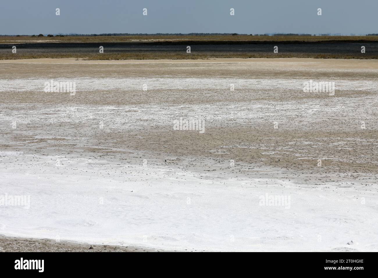 Salt deposits on the coast in the Camargue Stock Photo - Alamy