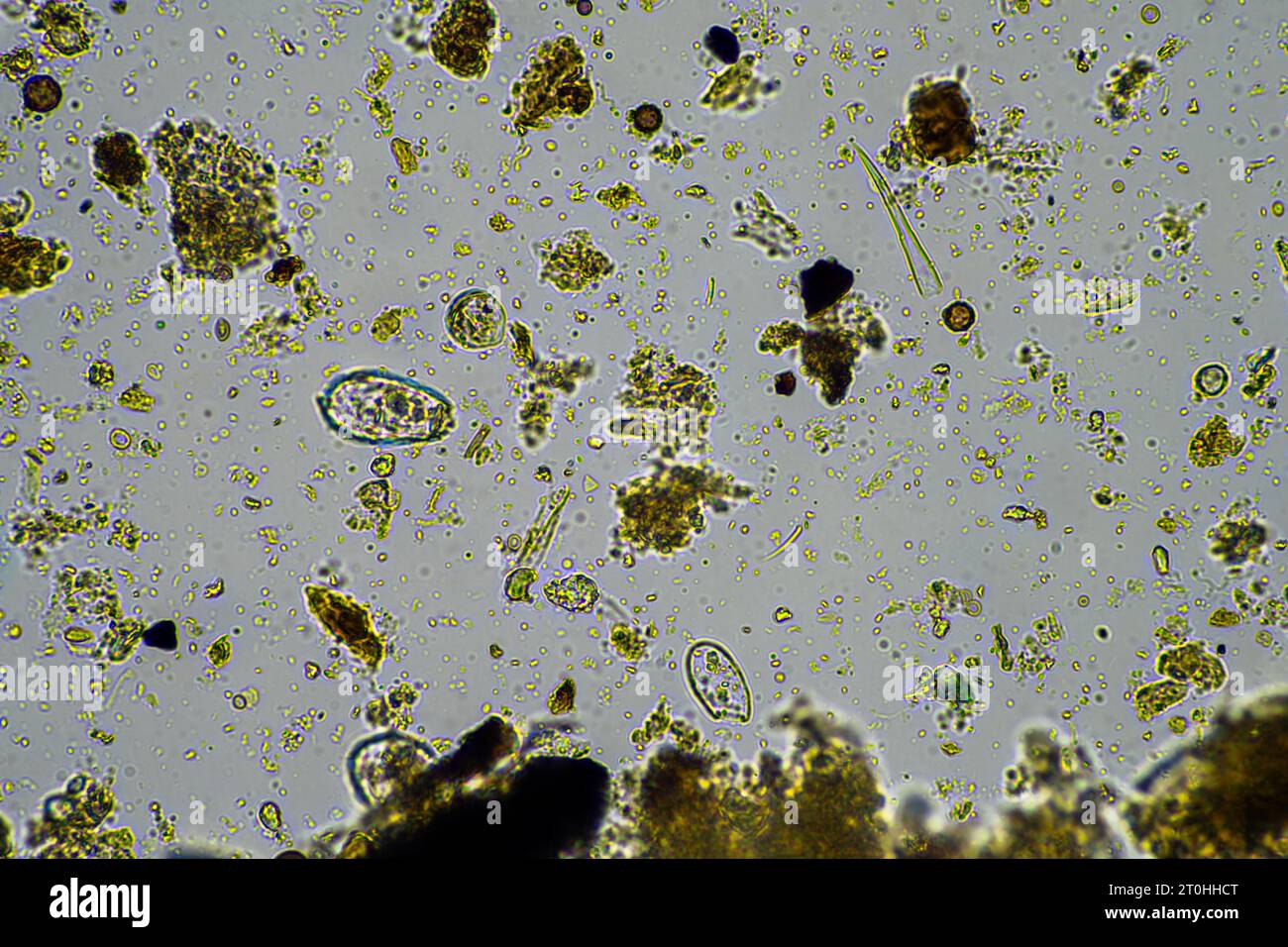 Soil sample uk hi-res stock photography and images - Alamy