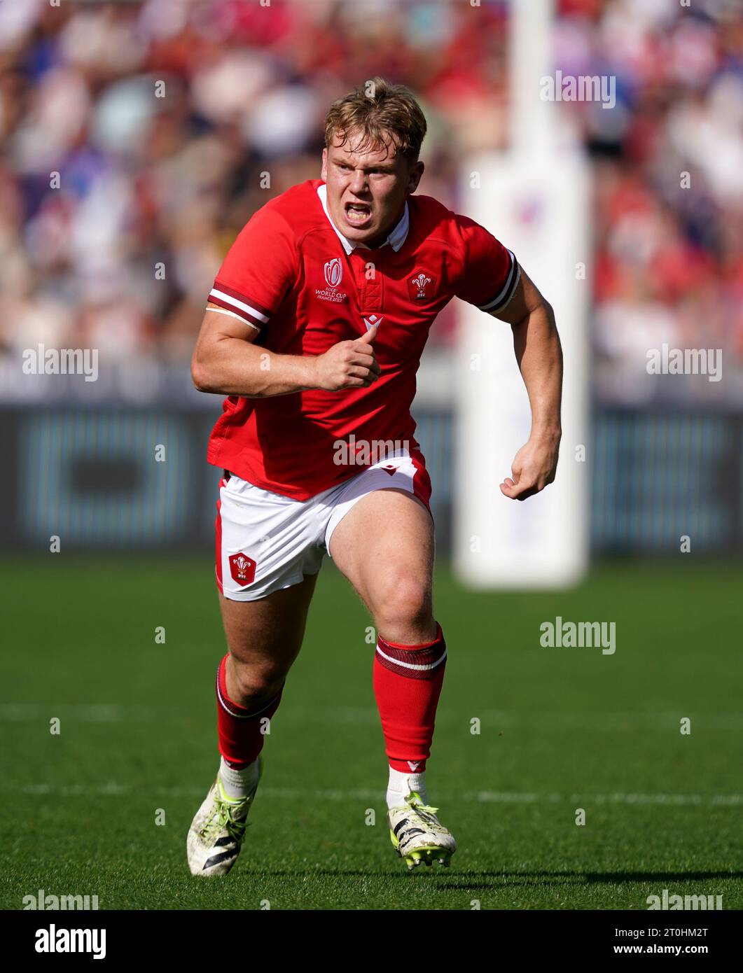 Wales' Sam Costelow during the Rugby World Cup 2023, Pool C match at ...