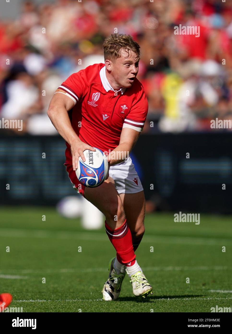 Wales' Sam Costelow during the Rugby World Cup 2023, Pool C match at ...