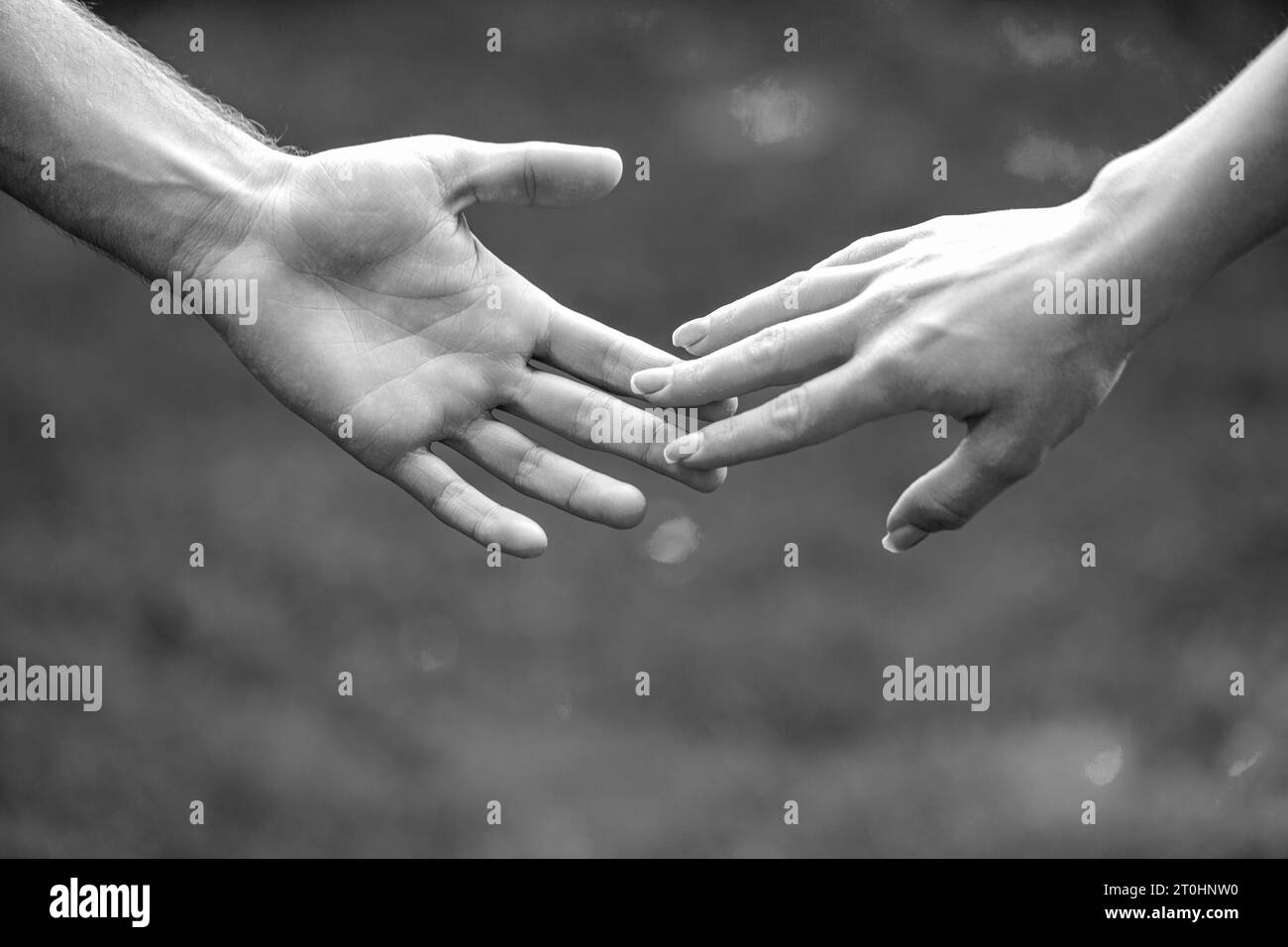 Female and male hand together. Couple holding hands in the Park. Hold ...