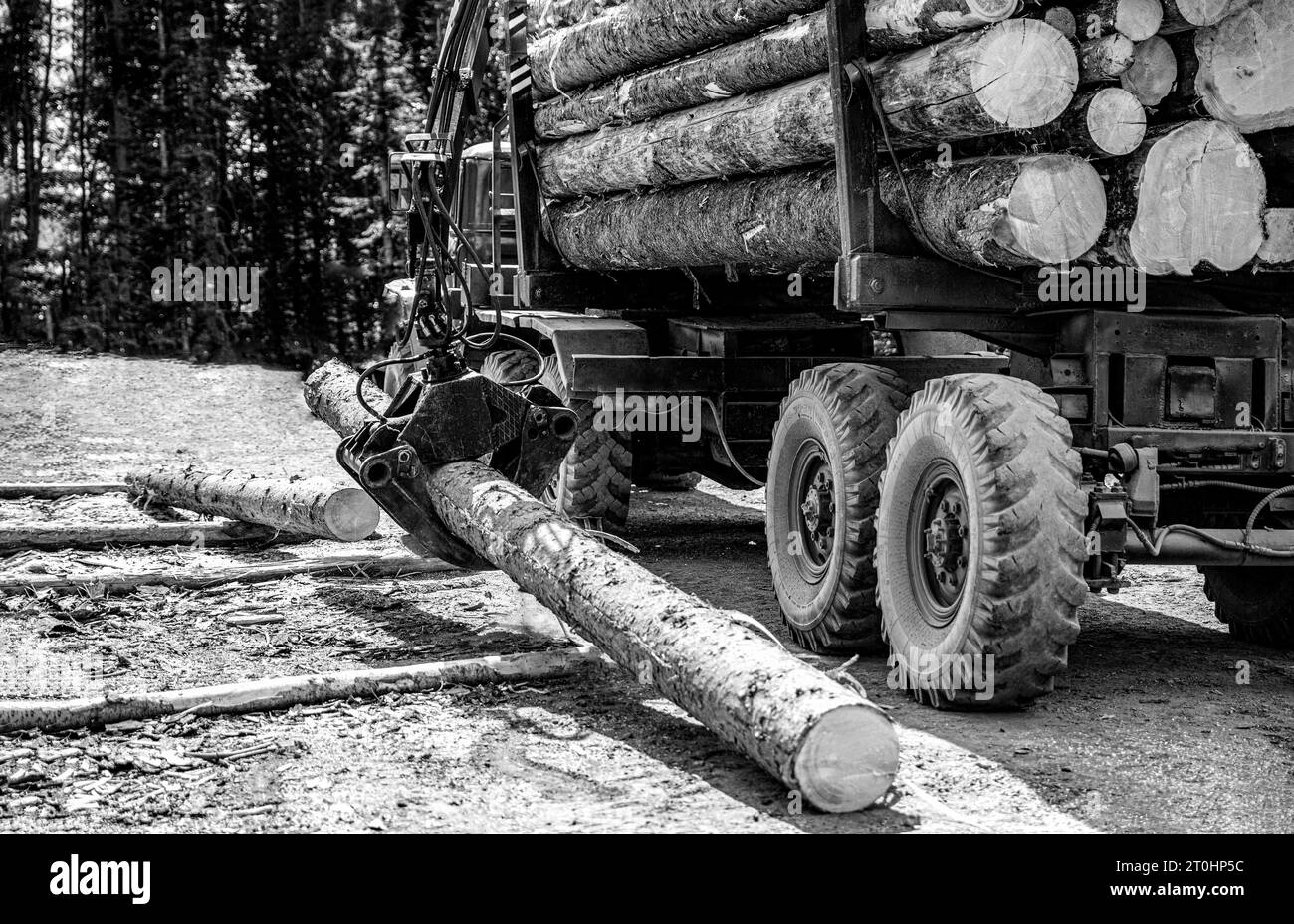 Rainforest logging Black and White Stock Photos & Images - Alamy
