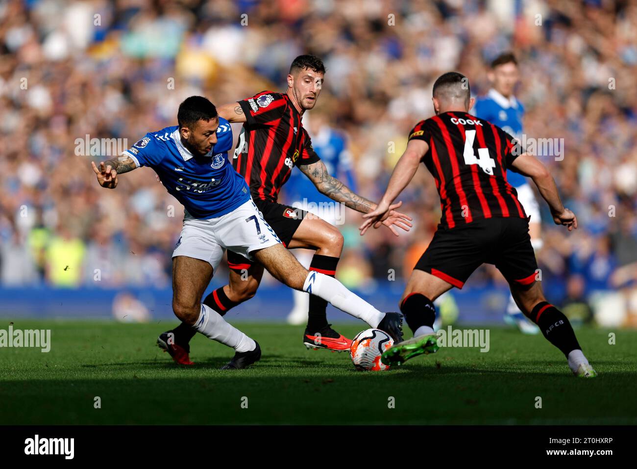 Lewis cook bournemouth 2023 hi-res stock photography and images - Alamy