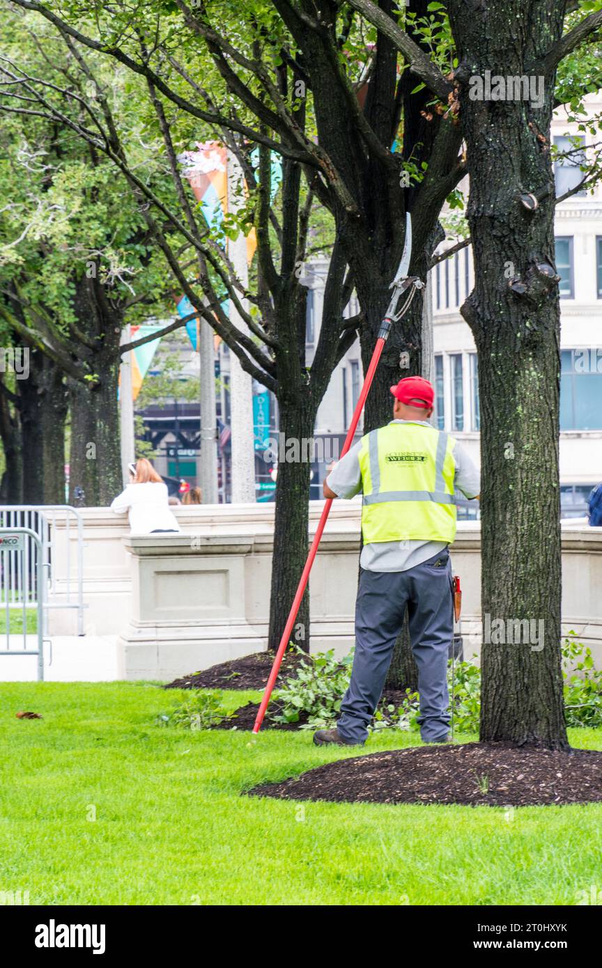 Tree pruning with telescopic pruner in a public park in Chicago Stock ...