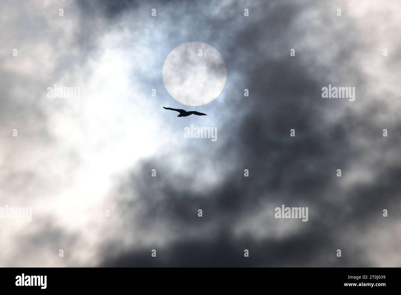 Flying past the sun hi-res stock photography and images - Alamy