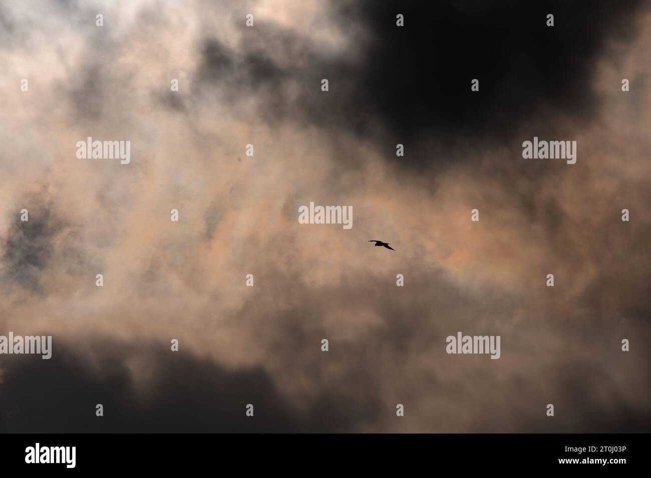 Flying past the sun hi-res stock photography and images - Alamy