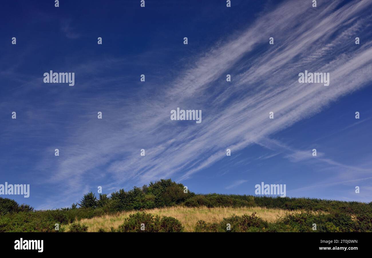 Blue sky and clouds over a tree-lined hilltop in South Devon, England ...