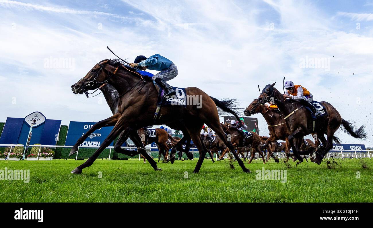 The howden challenge cup hi-res stock photography and images - Alamy