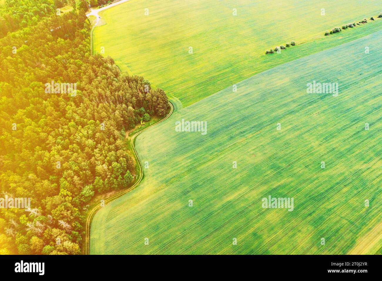 Aerial View Of Field And Deforestation Area Zone Landscape. Top View Of ...