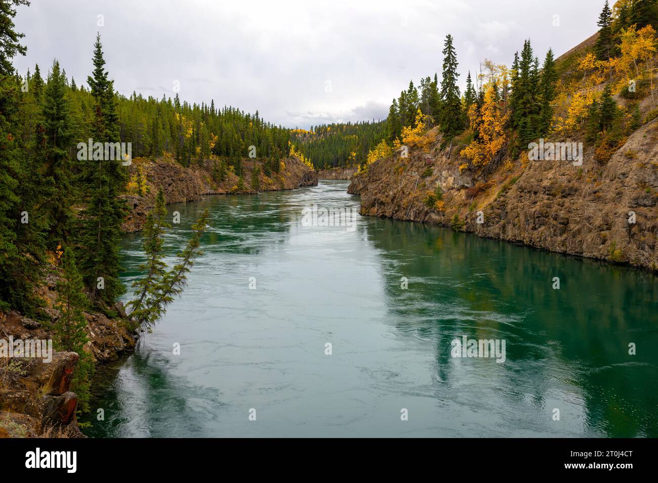 Beautiful landscape views of the Yukon River as it passes through Miles ...