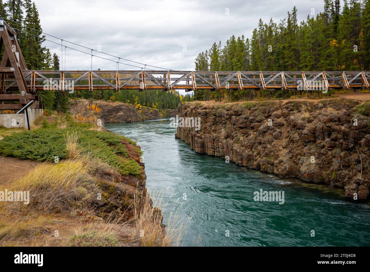 A view of the Robert Lowe suspension bridge across the Yukon River as ...