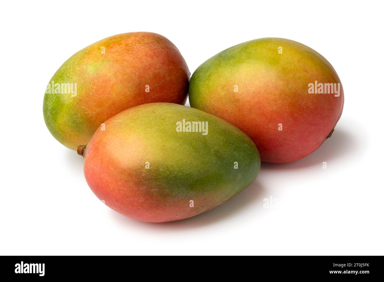 Three fresh ripe mango close up isolated on white background Stock ...