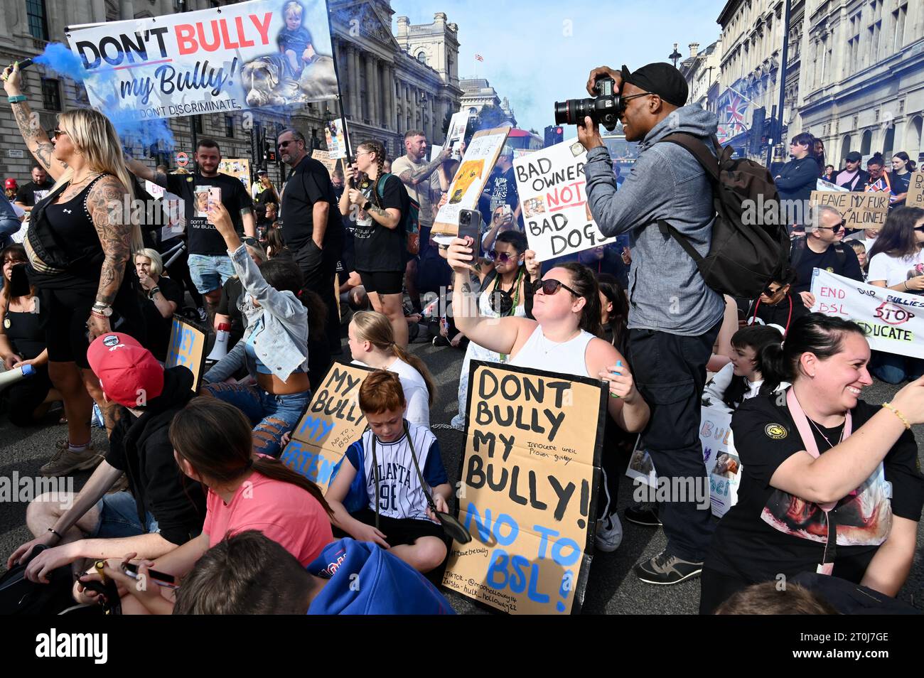 American bully xl dog hi-res stock photography and images - Alamy
