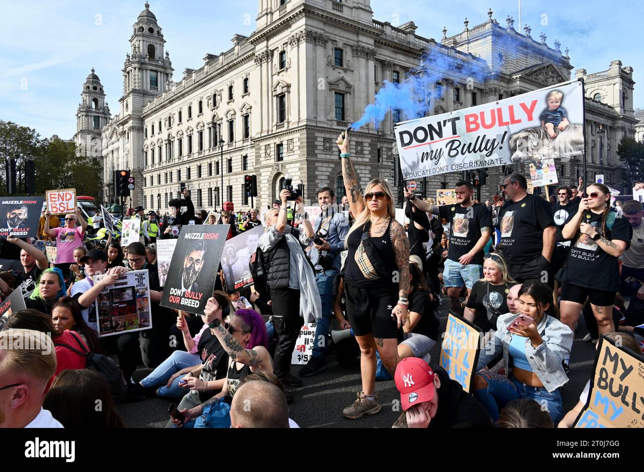 American bully xl hi-res stock photography and images - Alamy