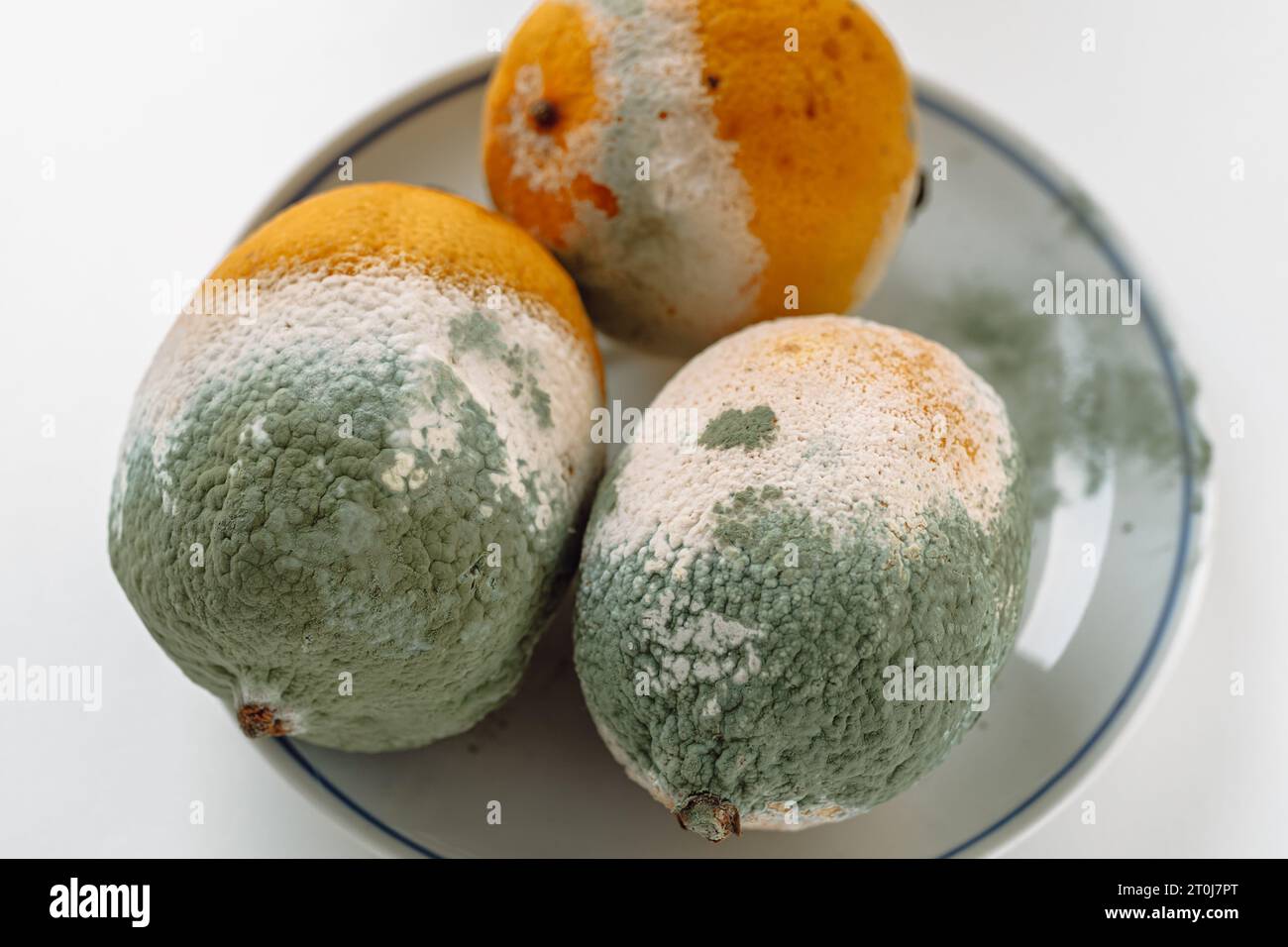 Lemons with mold hi-res stock photography and images - Alamy