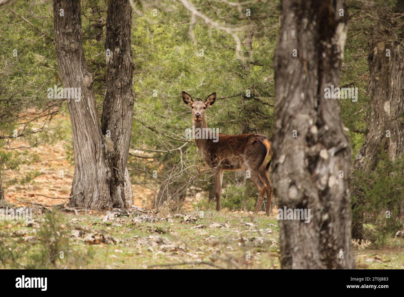 Suelo aire hi-res stock photography and images - Alamy
