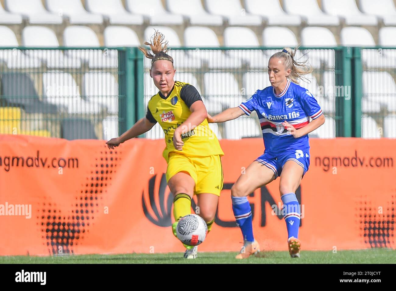 Sevenius hi-res stock photography and images - Alamy