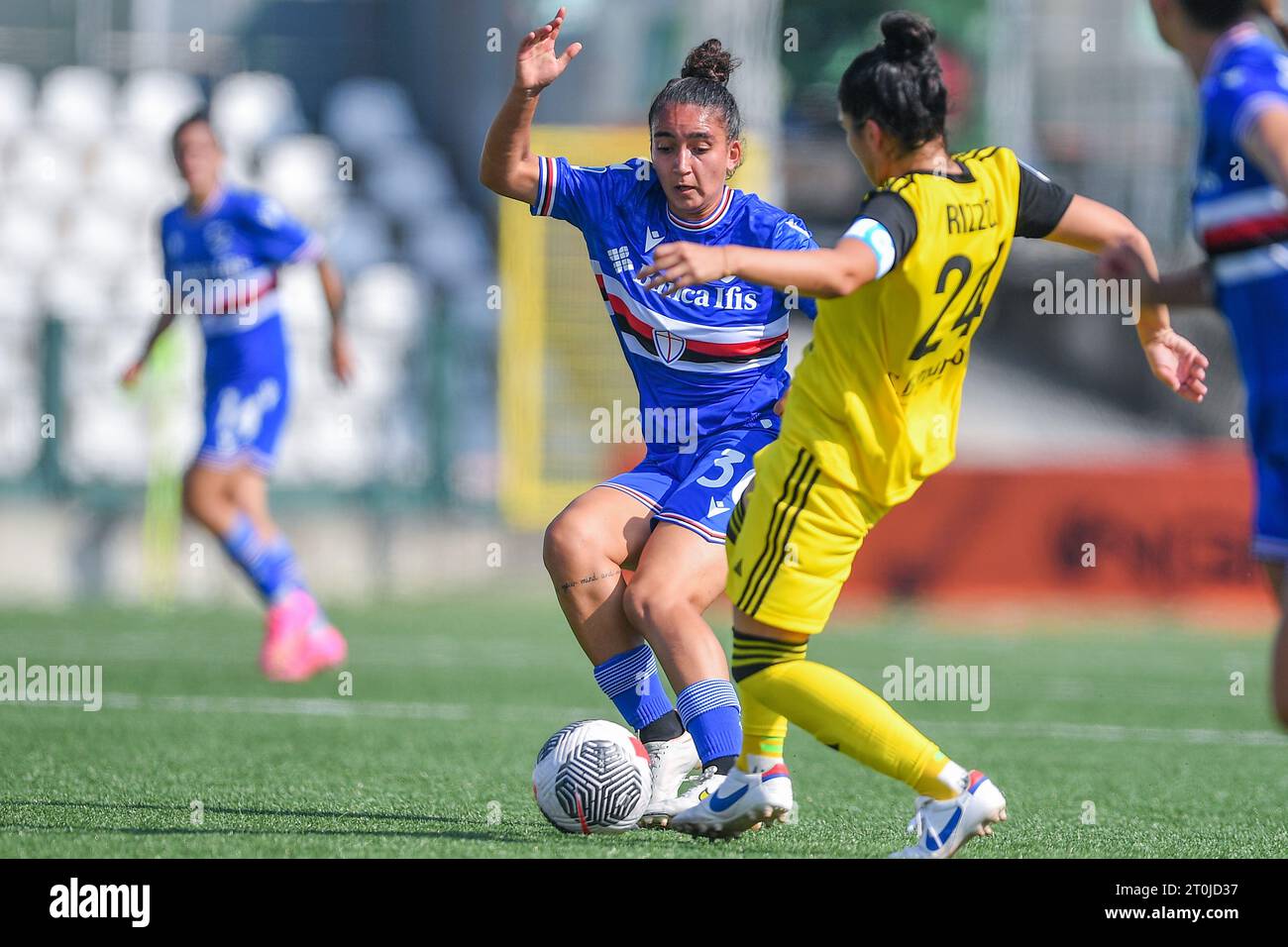 Veronica battelani hi-res stock photography and images - Alamy