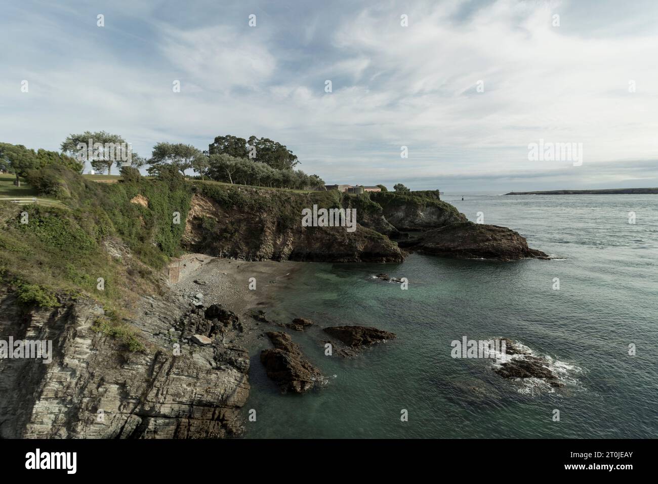 Landscape of a Tree-Covered Cliff Overlooking a Calm Sea Stock Photo ...