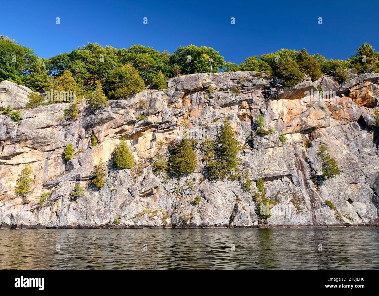 A huge granite rock cliff with trees growing off the side rises ...