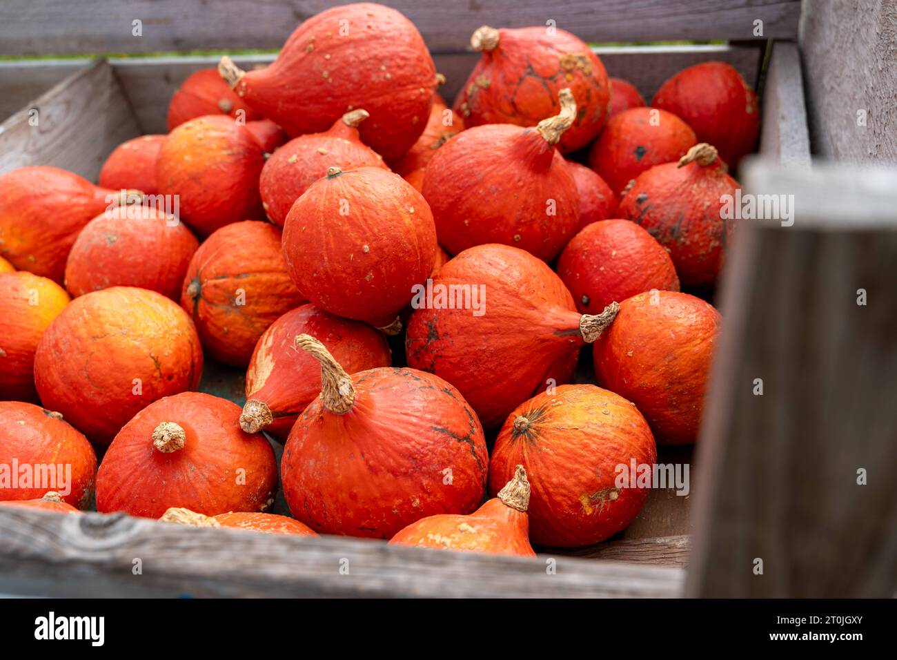 Landwirt hintergrund hi-res stock photography and images - Alamy