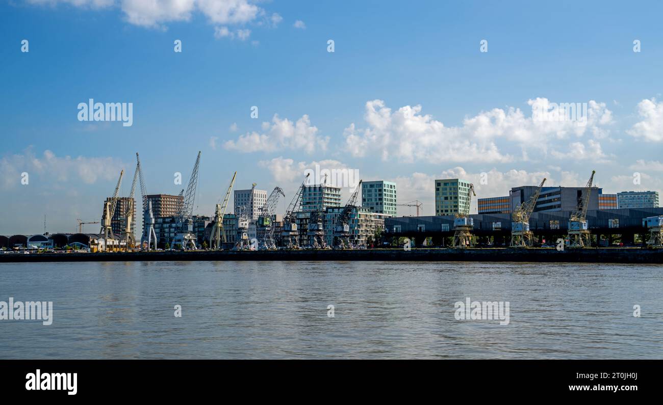 Antwerp seen from scheldt hi-res stock photography and images - Alamy