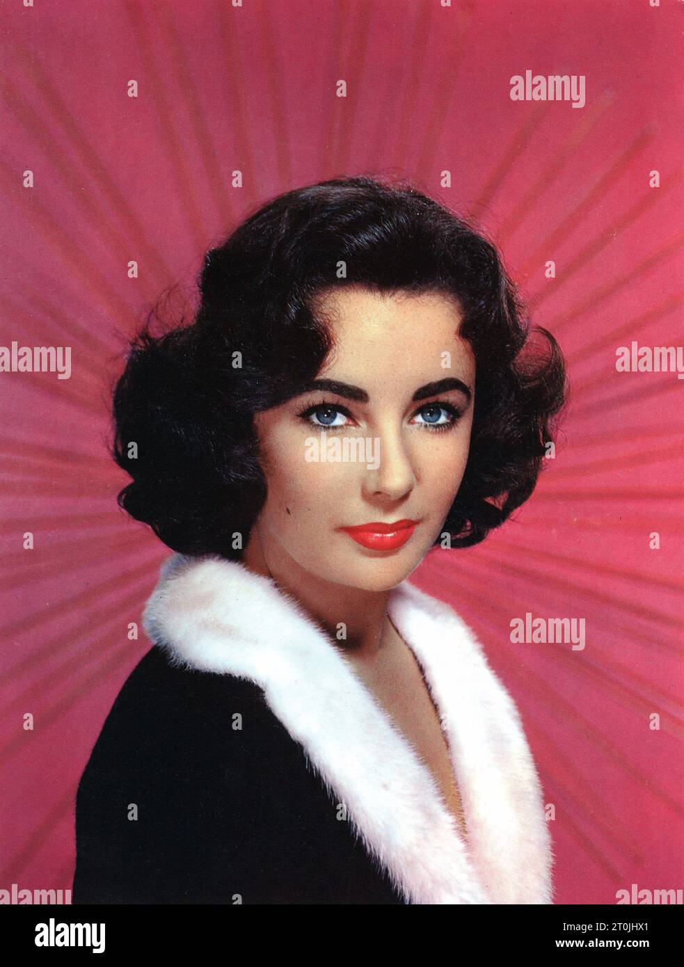 ELIZABETH TAYLOR circa 1954 Portrait publicity for Metro Goldwyn Mayer ...