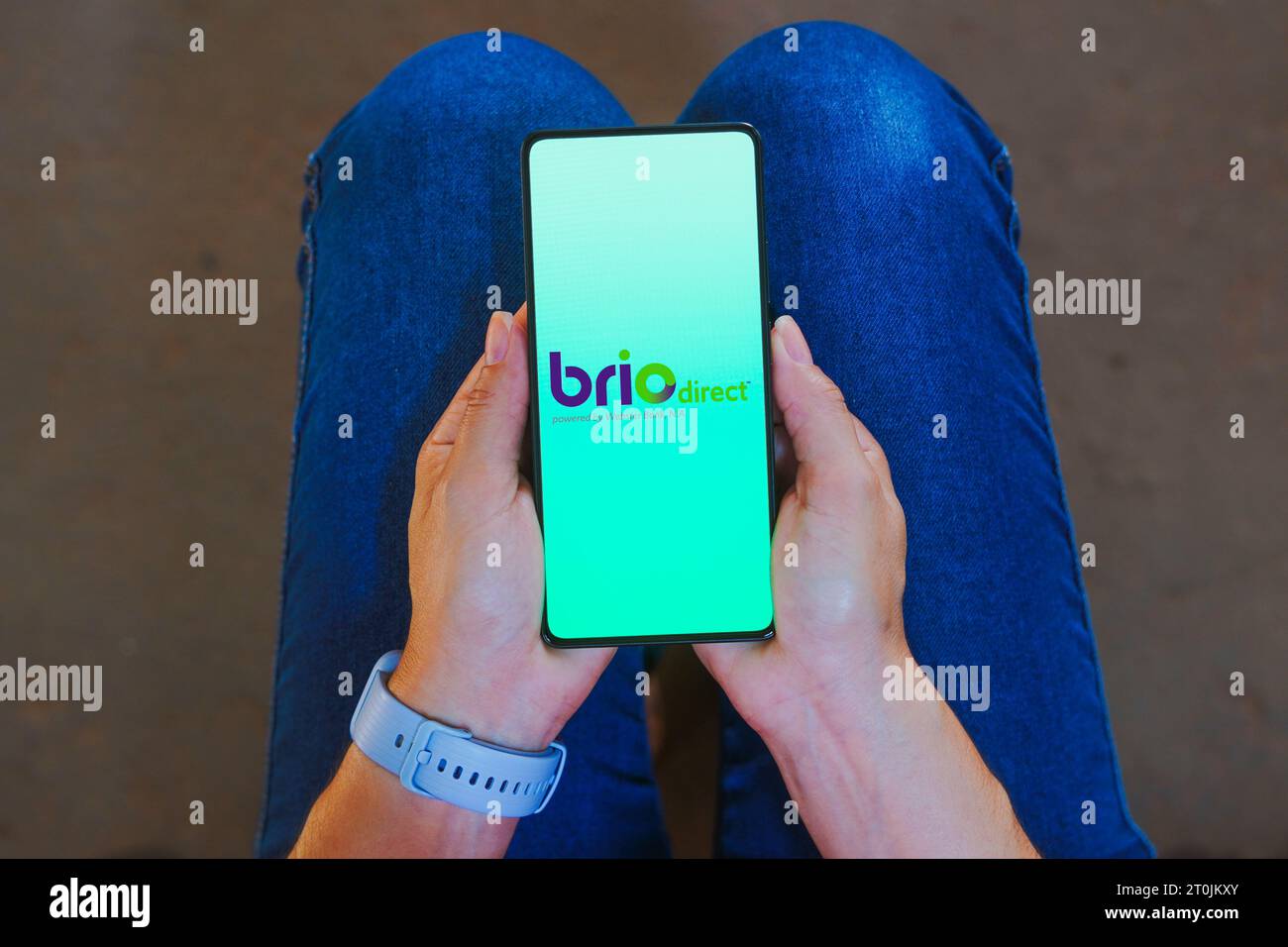 Brazil. 07th Oct, 2023. In this photo illustration, the BrioDirect logo ...