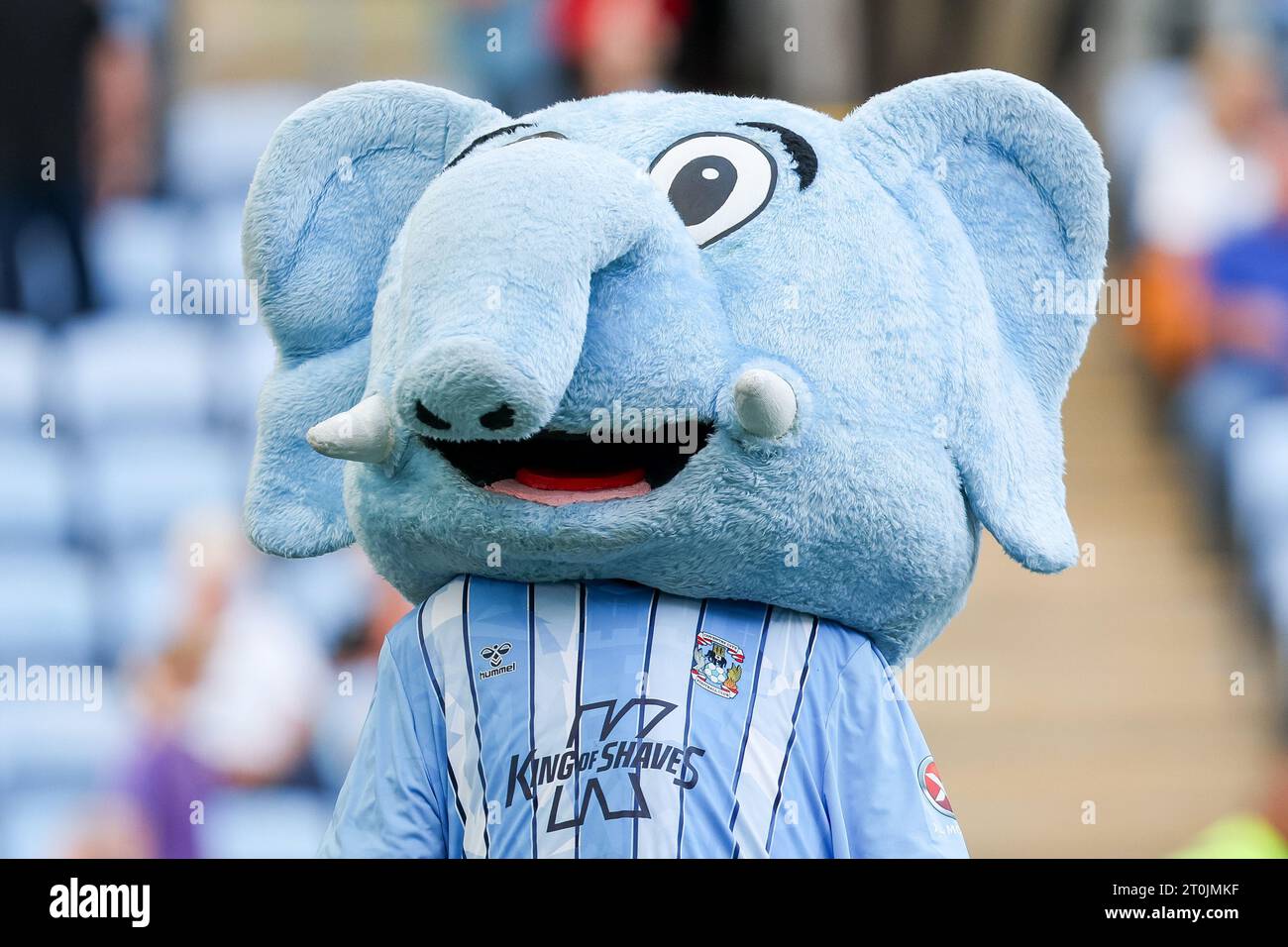 Norwich city mascot hi-res stock photography and images - Alamy