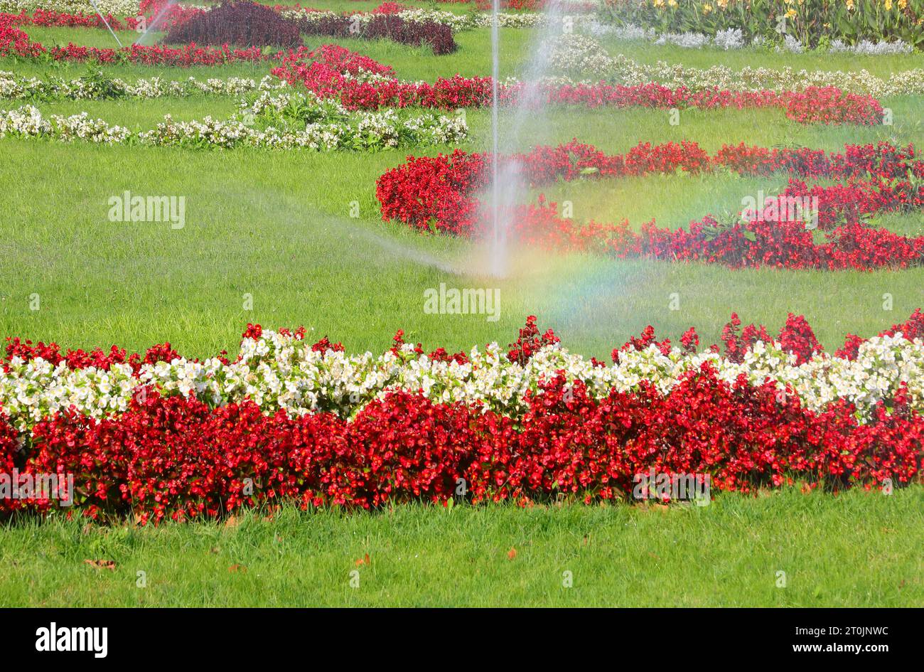 automatic irrigation system for flower gardens well looked after by the ...