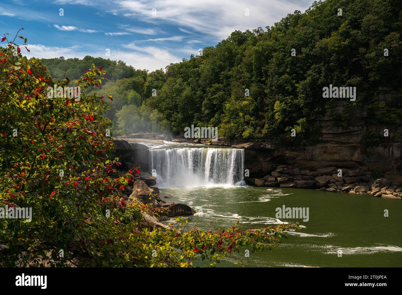 Cumberland Falls with wildflowers in Corbin, Kentucky, USA Stock Photo ...