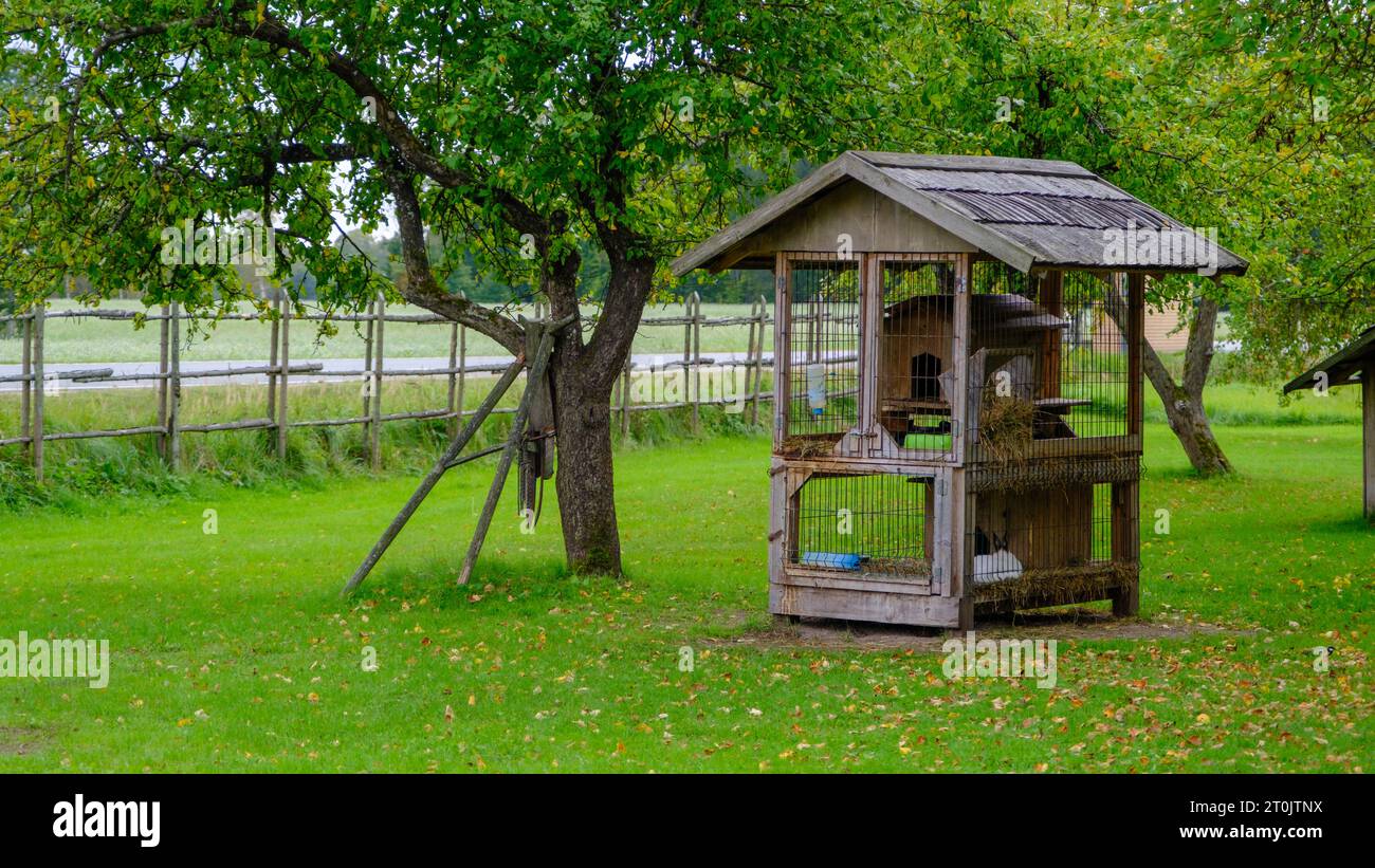 Household rabbit farm. Cute fluffy rabbits in cages. Agricultural ...