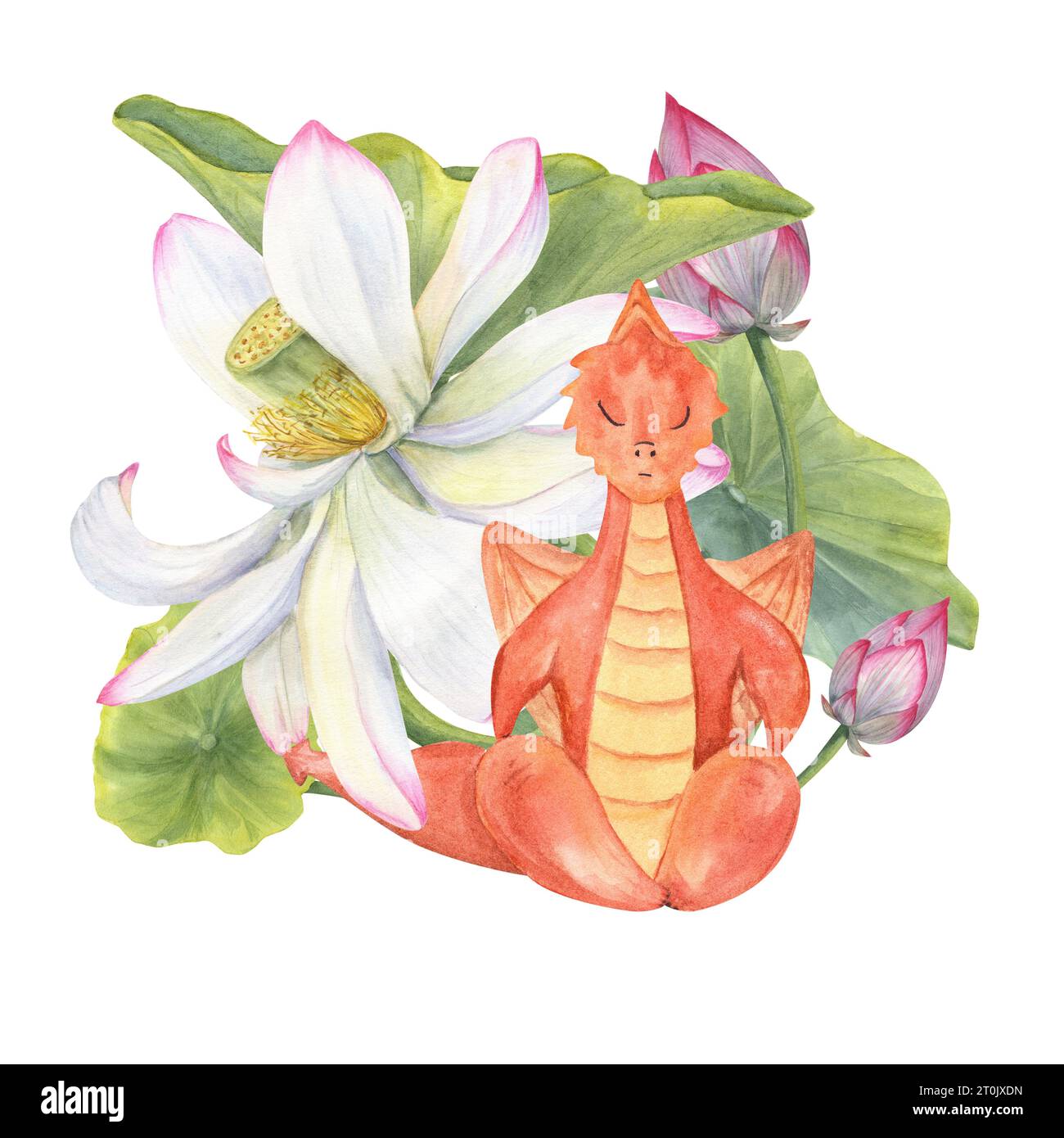 Water lily flower cartoon hi-res stock photography and images - Alamy