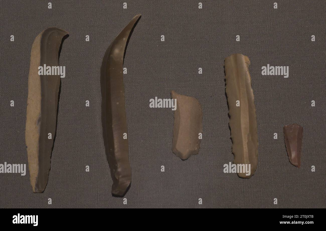 Neolithic Period. Temple Period (3600 to 2500 BC). Flint flakes ...