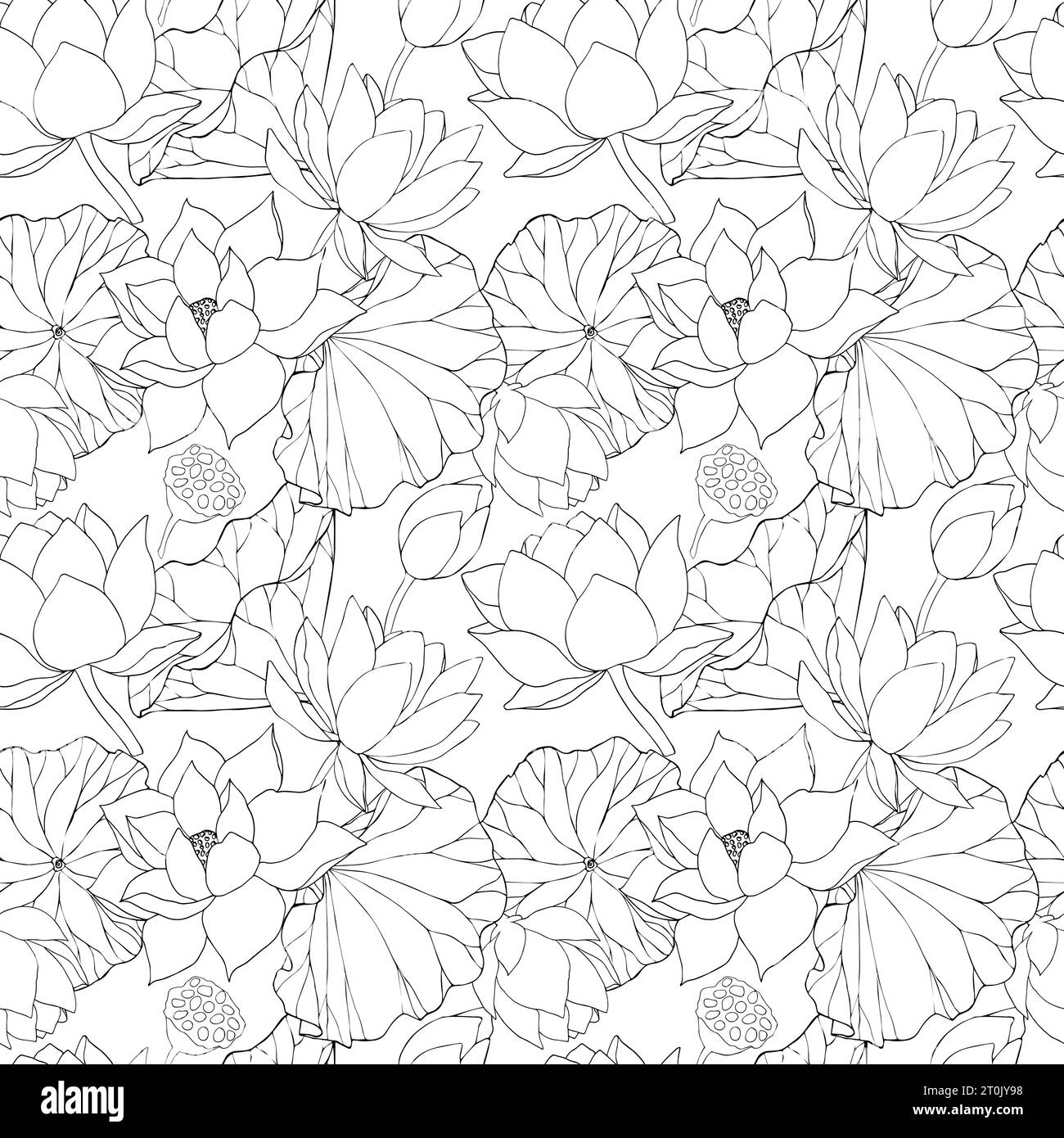Seamless pattern with vector hand drawn lotus flowers and buds, huge ...