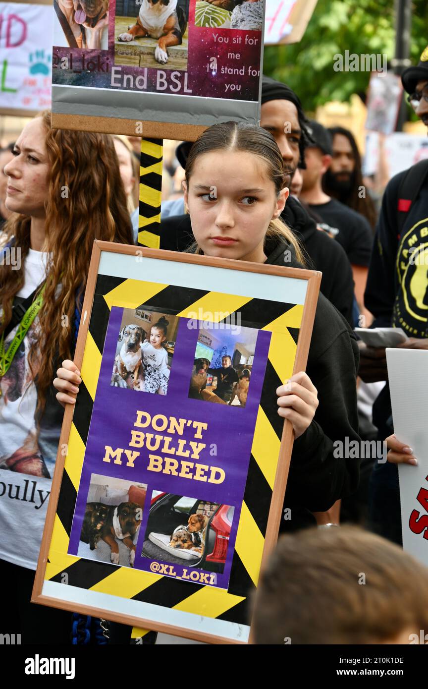 American bully xl protest hi-res stock photography and images - Alamy