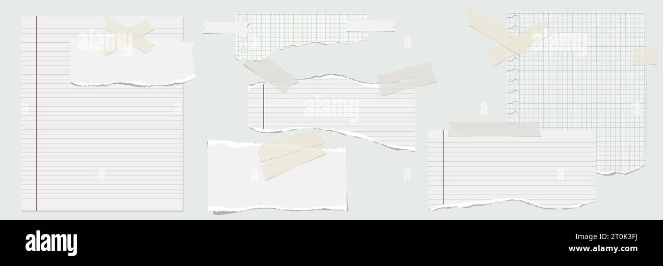 Lined whole sheet of paper and rip pieces with torn adges. Lined note ...
