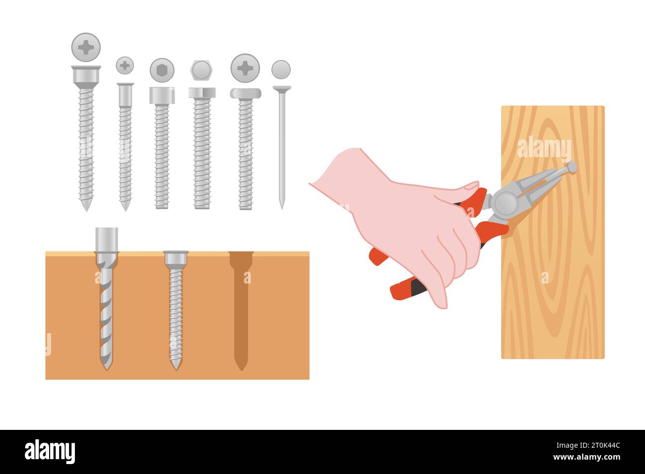 Collection of different types of screw vector illustration isolated on ...