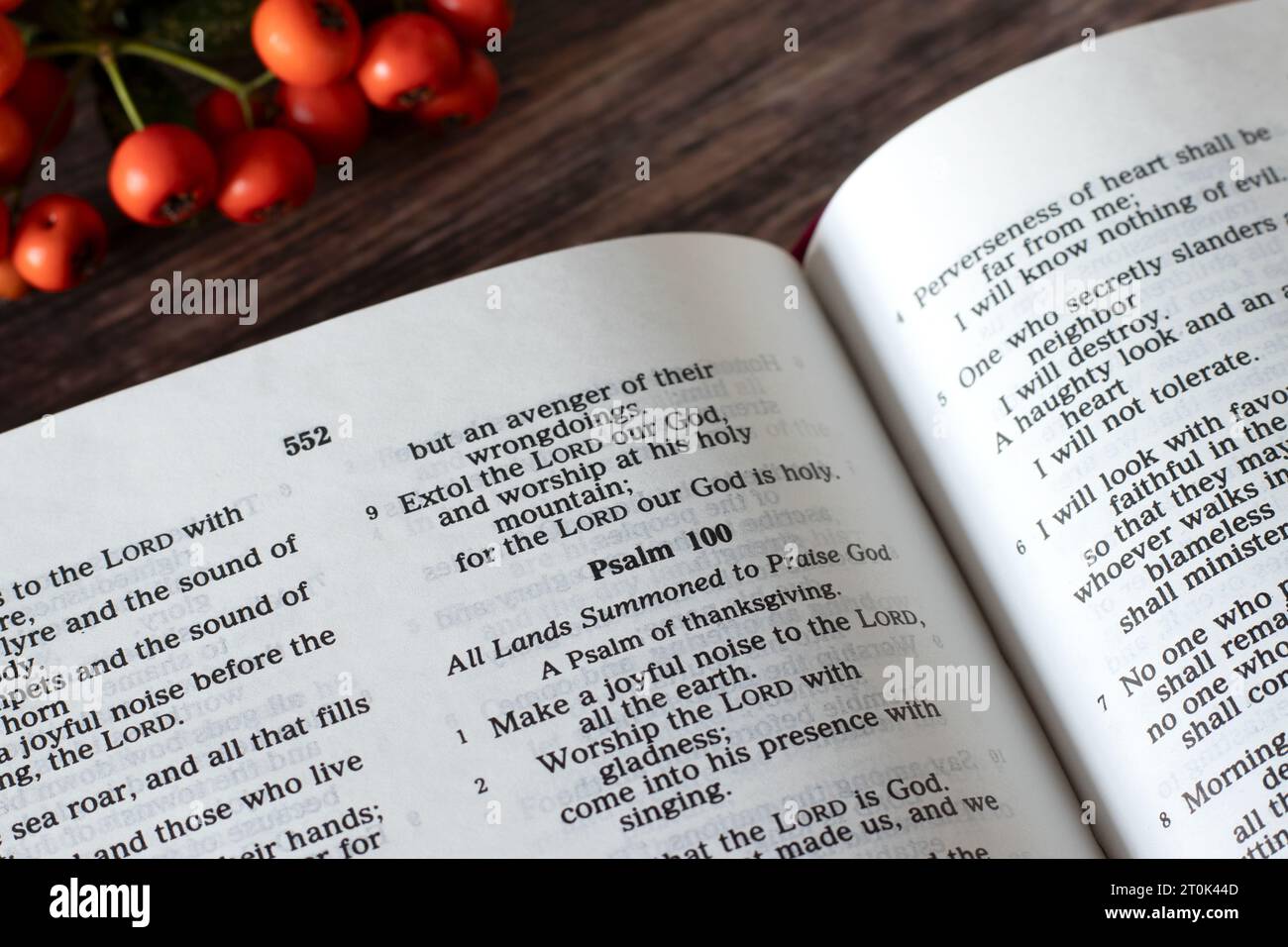 Praise, worship, and thanksgiving to God Jesus Christ verses, Psalm 100 ...