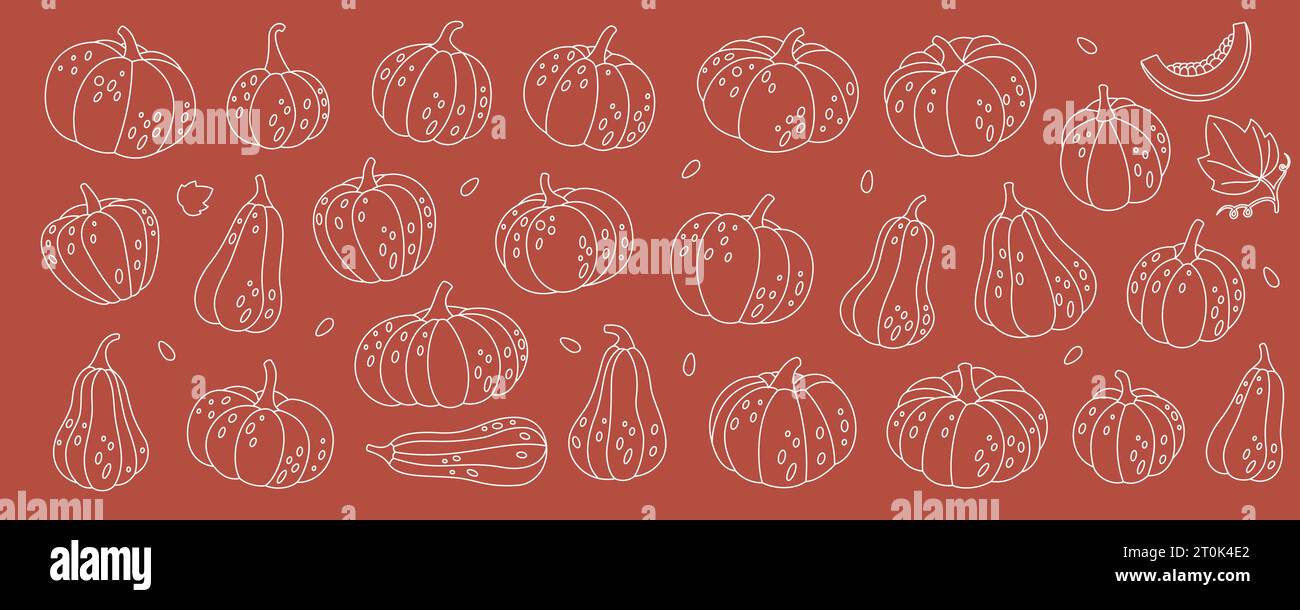Halloween pumpkins outline set. Autumn pumpkins. Halloween vegetables ...