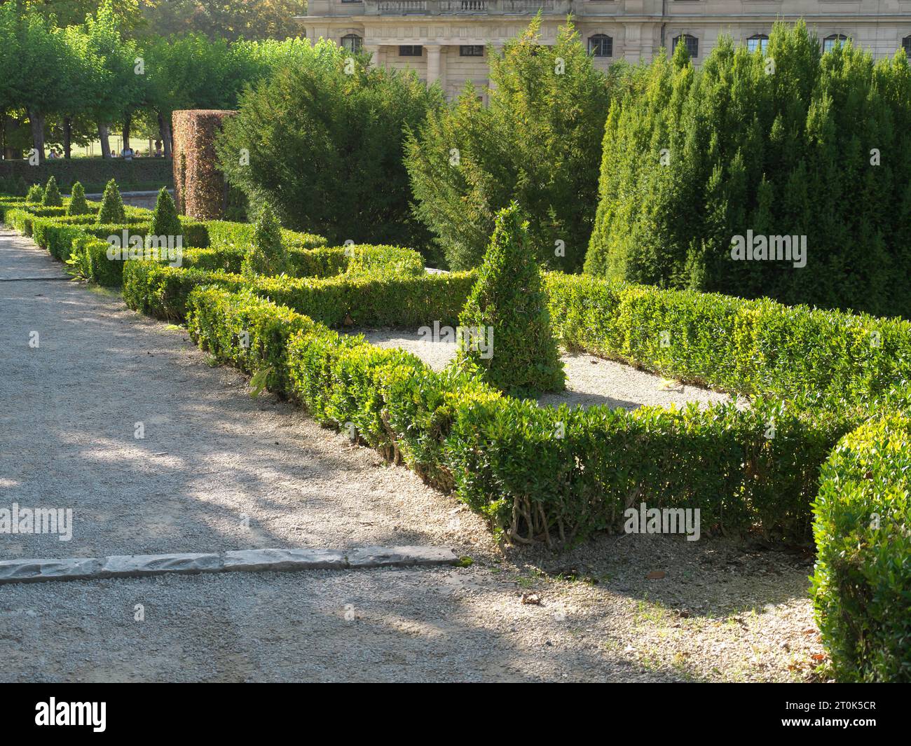 Geometrically planted box hedge in the courtyard garden of the Würzburg ...