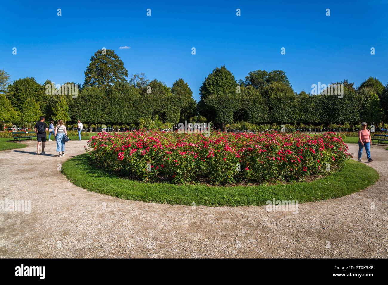 Round rose garden, Schönbrunn Gardens, 18th-century Baroque gardens ...