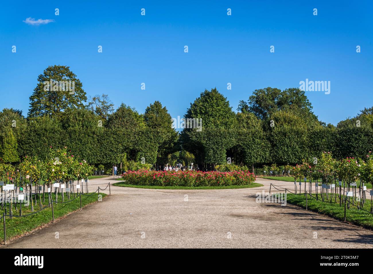 Round rose garden, Schönbrunn Gardens, 18th-century Baroque gardens ...