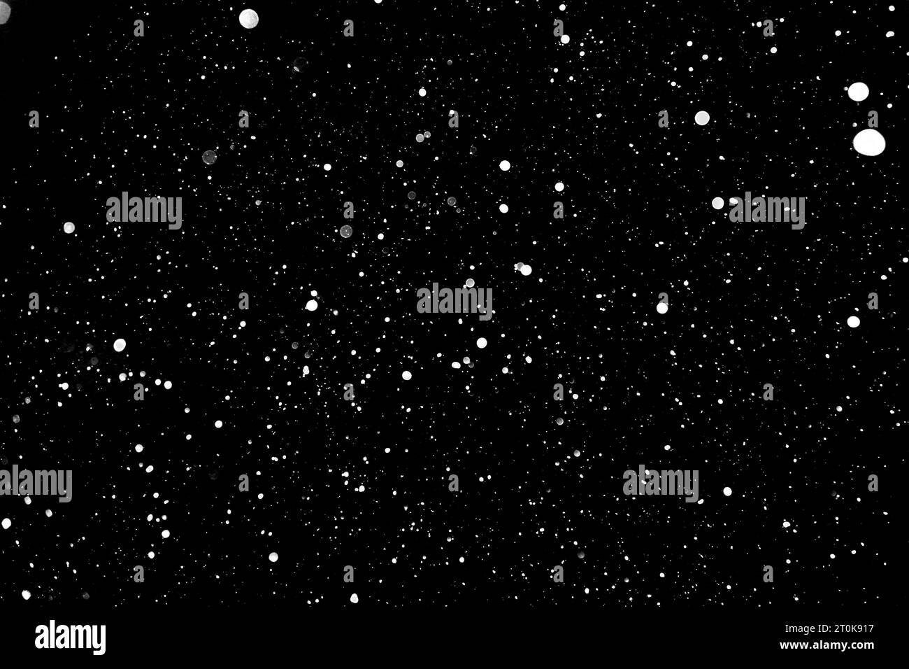 Background snowfall on a black background. Isolate. Blizzard a lot of ...