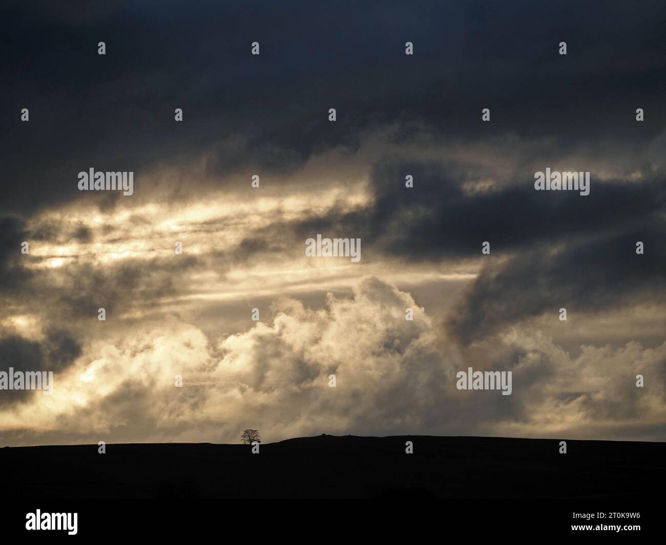 dramatic evening sky over Crosby Ravensworth Fell with Coronation Tree ...