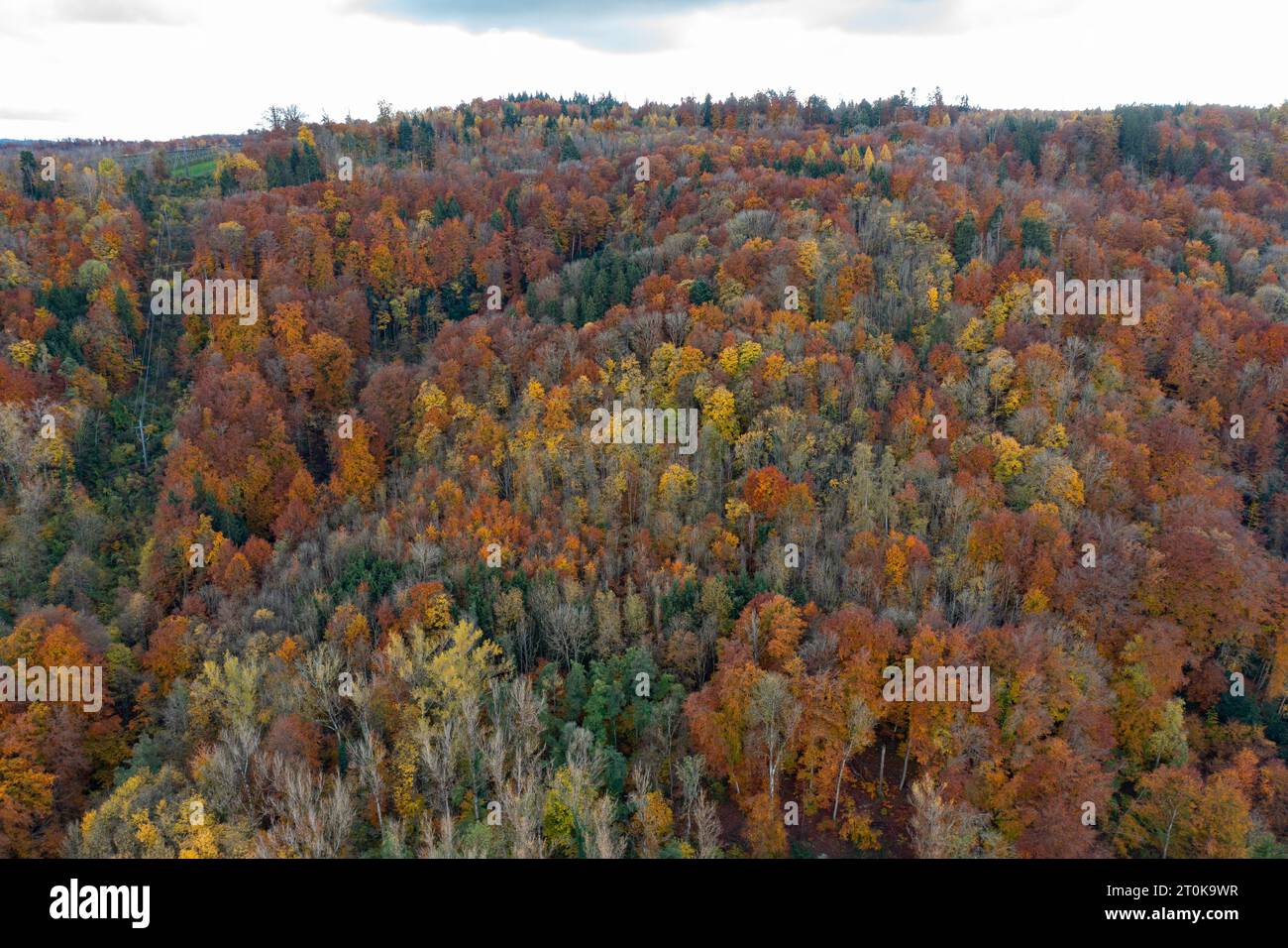 Aerial view of green treetops hi-res stock photography and images - Alamy