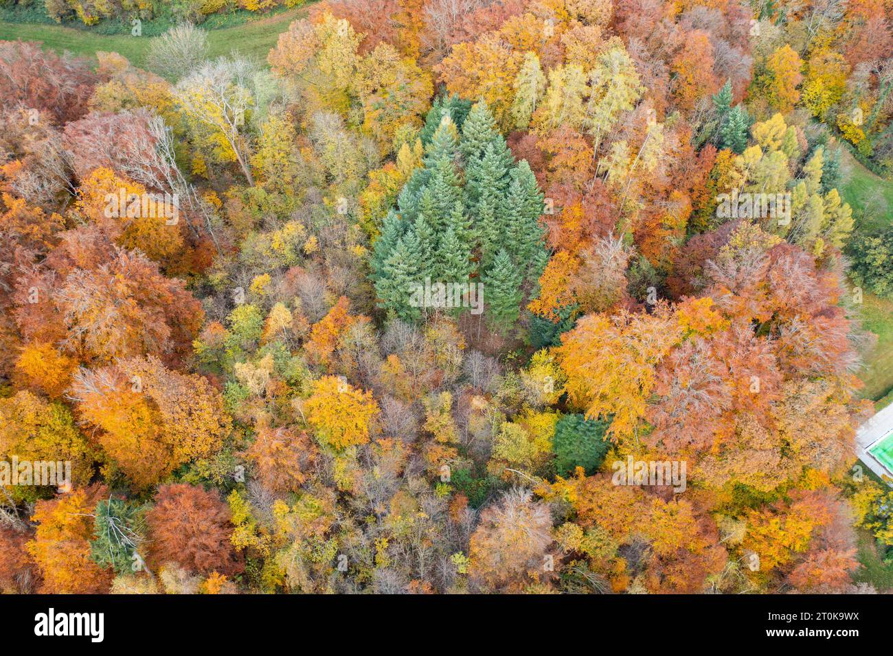 Full frame view beautiful hi-res stock photography and images - Alamy