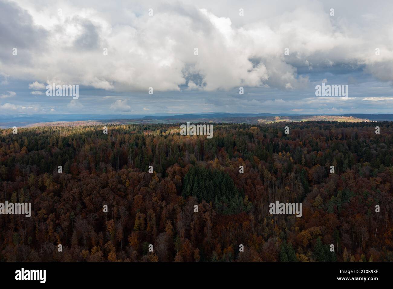 Colourful autumn forest form above, captured with a drone. Natural ...