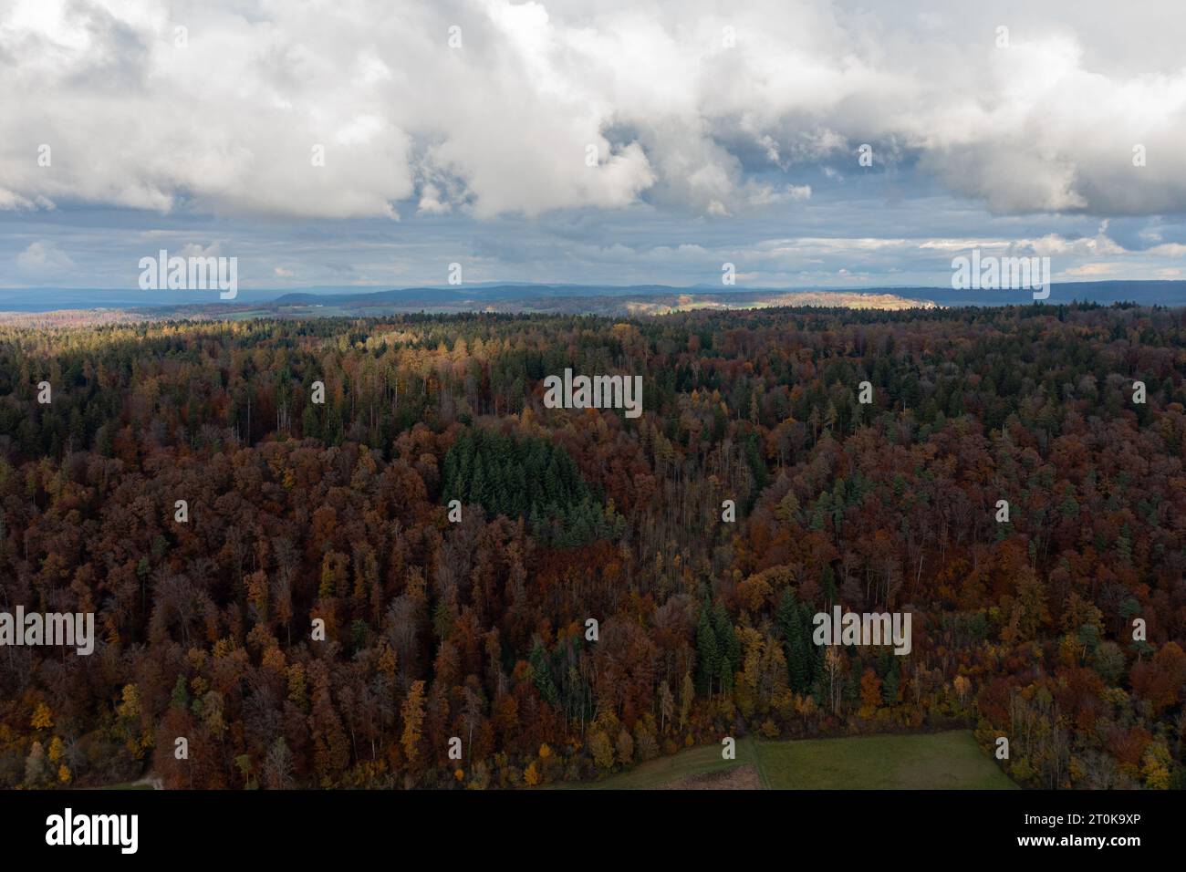 Aerial view colourful trees hi-res stock photography and images - Alamy