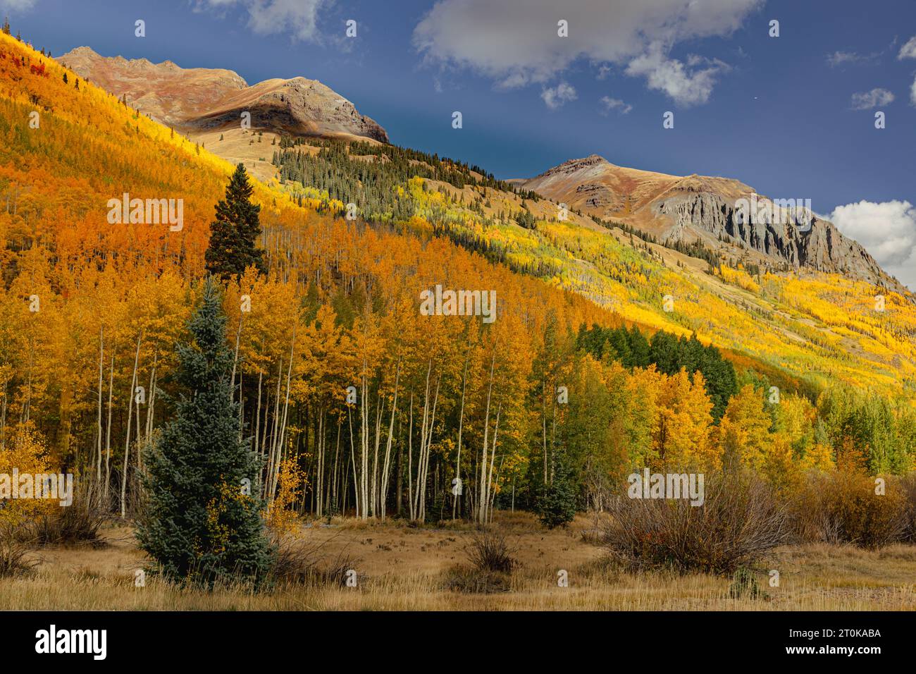Colorado Rocky Mountains Fall scenery Stock Photo - Alamy